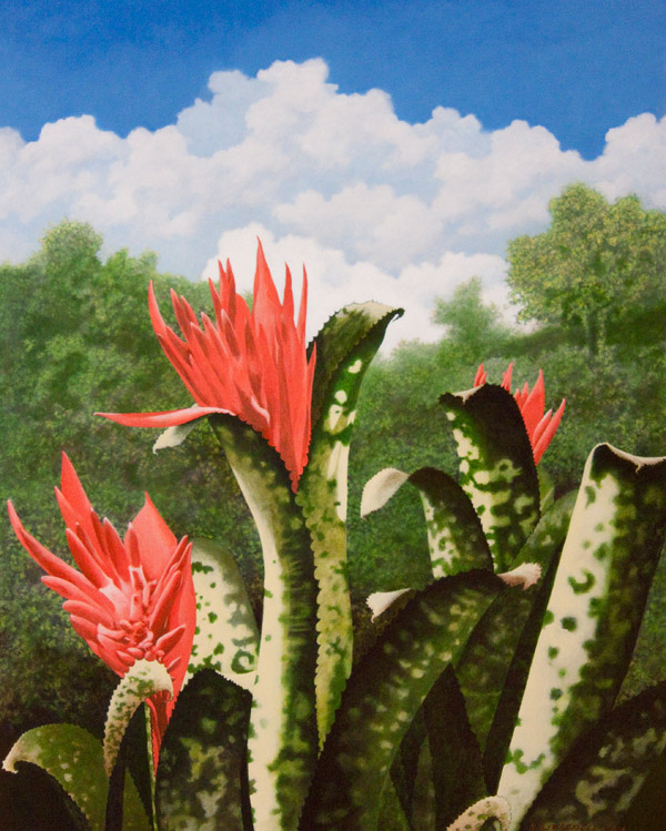 Stephen_Littlefield_8715-600 - Dunedin Fine Art Center