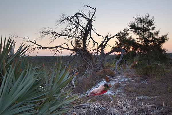 Linda Adele Goodine - Dunedin Fine Art Center