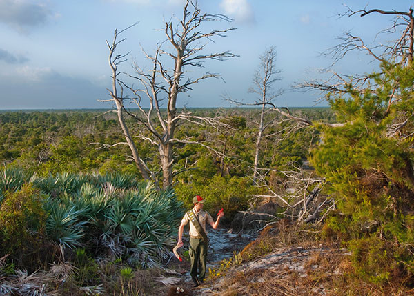 Linda Adele Goodine - Dunedin Fine Art Center