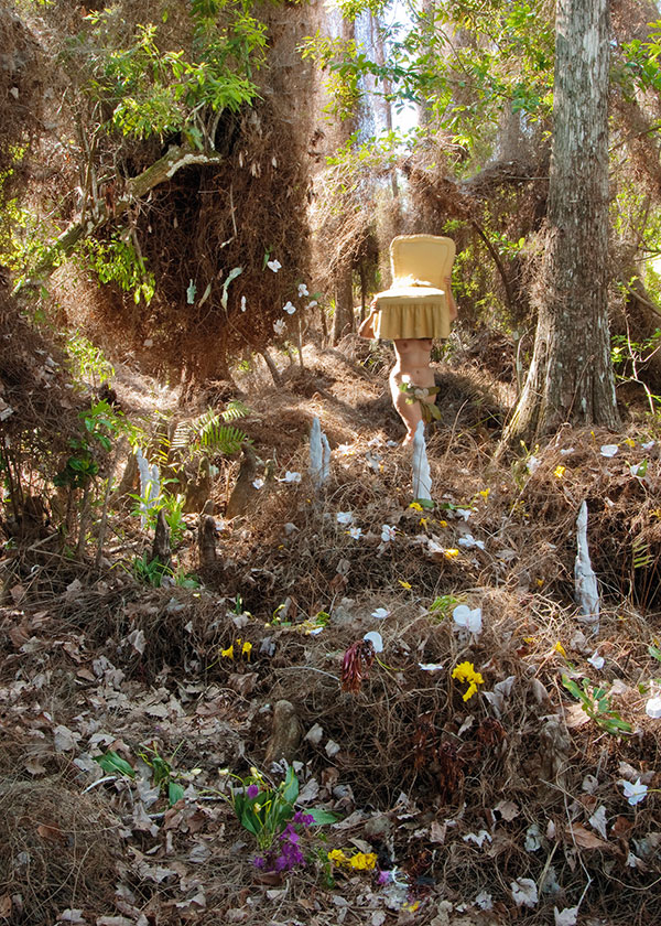 Linda Adele Goodine - Dunedin Fine Art Center