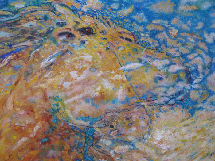 William Schaaf - Dunedin Fine Art Center