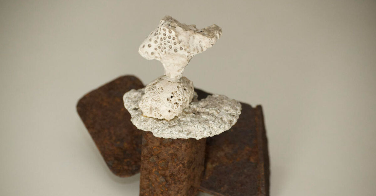 PRINS_CandC_FEATURE - Dunedin Fine Art Center