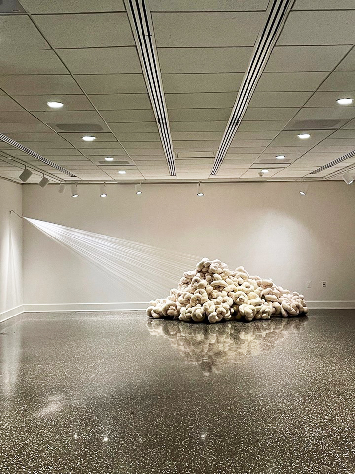 Kat Howard: Controlled Telling - Dunedin Fine Art Center