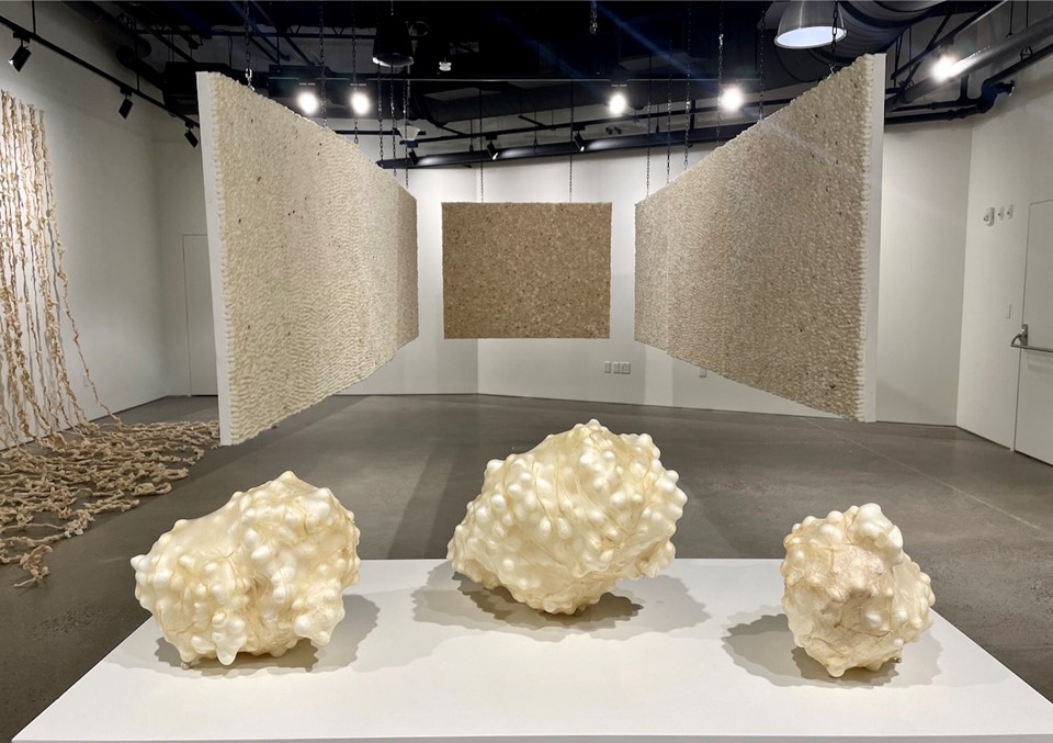 Kat Howard: Controlled Telling - Dunedin Fine Art Center