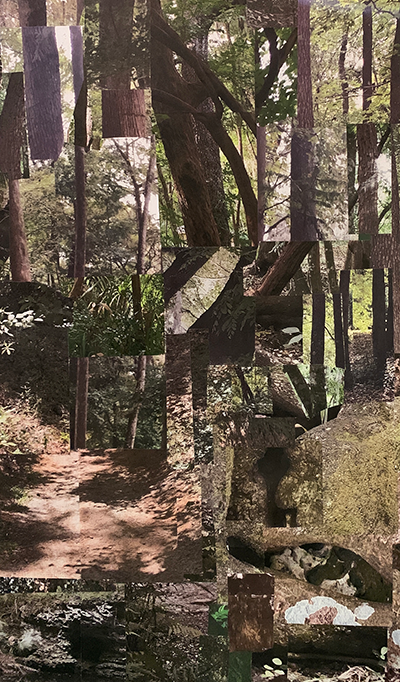 Azalea: Answer the Call of Florida’s Forgotten Mystical Spaces ...