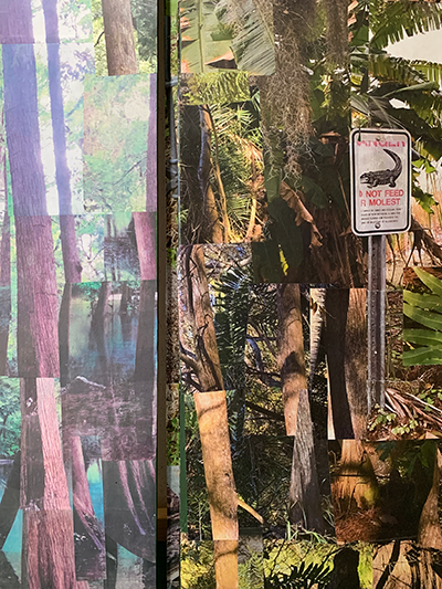 Azalea: Answer the Call of Florida’s Forgotten Mystical Spaces ...