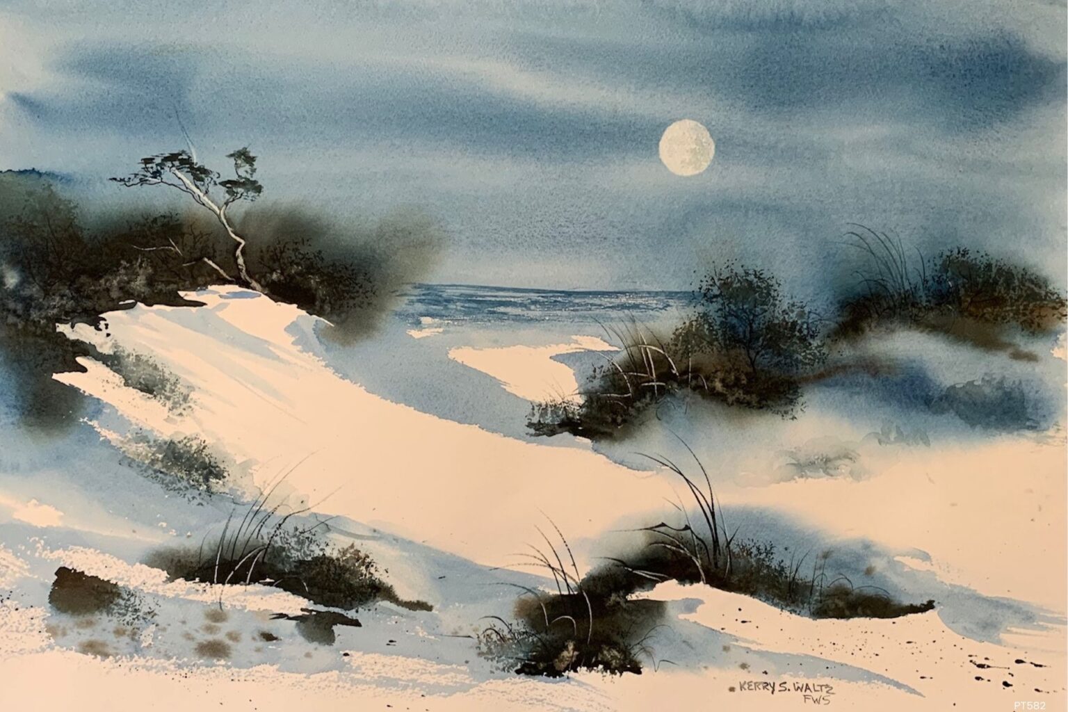 PT582 Intermediate Watercolor With Kerry Stratton Waltz - Dunedin Fine ...